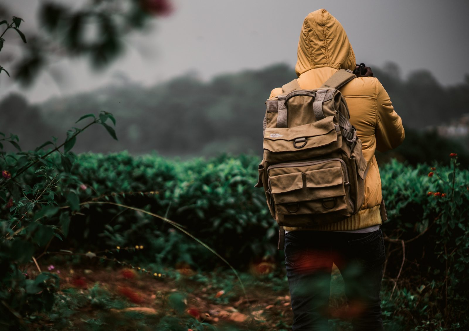 Top 10 Best MOLLE Backpacks [November 2025]